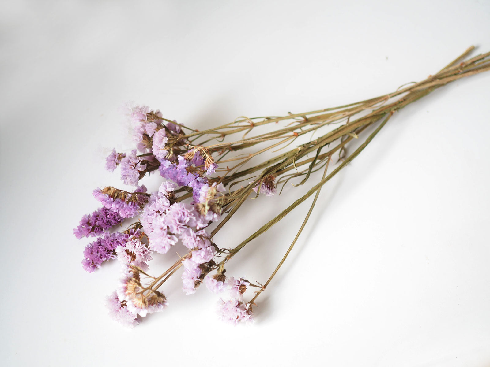 Dried Statice Flowers in Lilac – Earth & Green